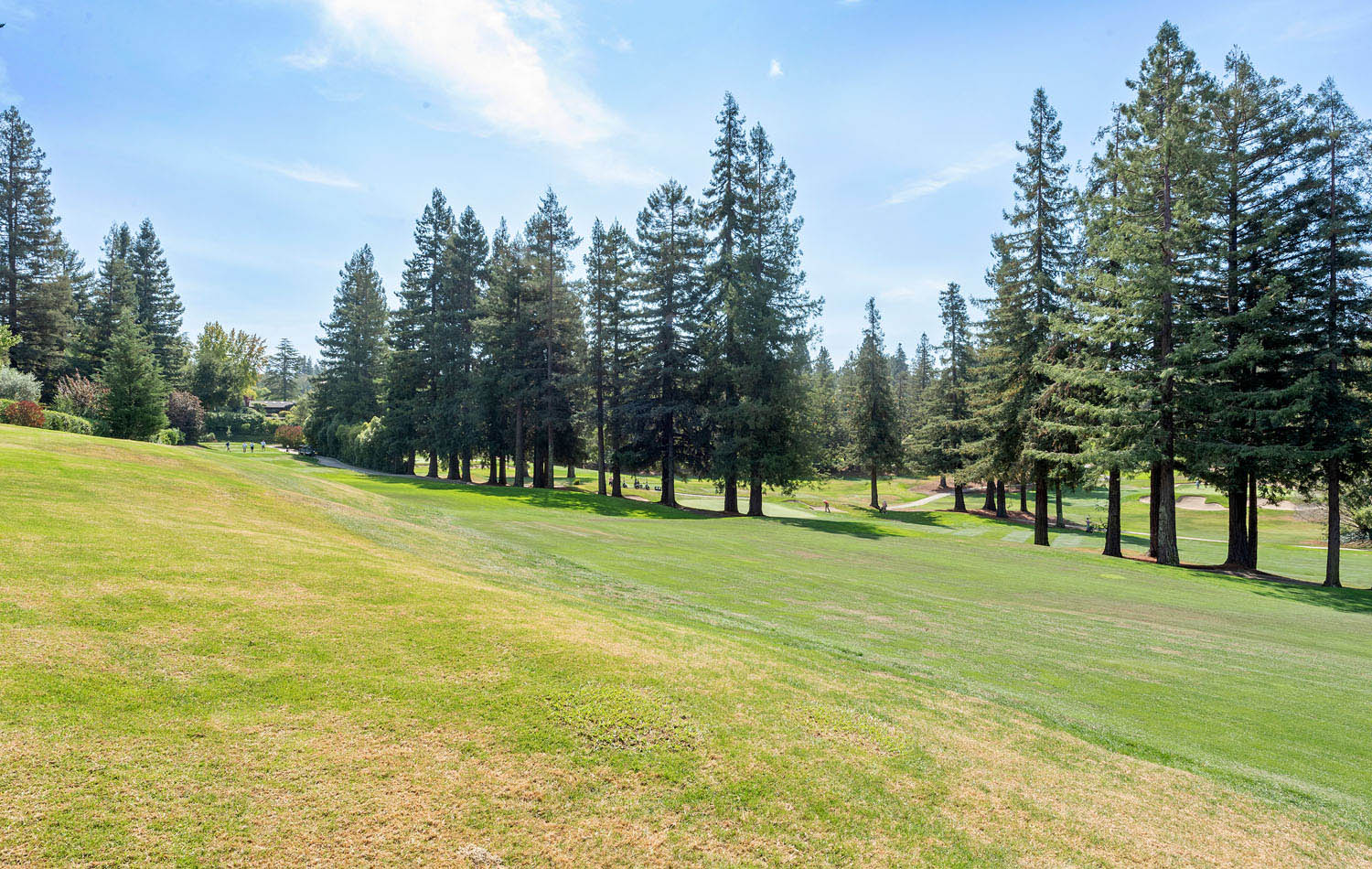 1125 Trinity Drive, Menlo Park