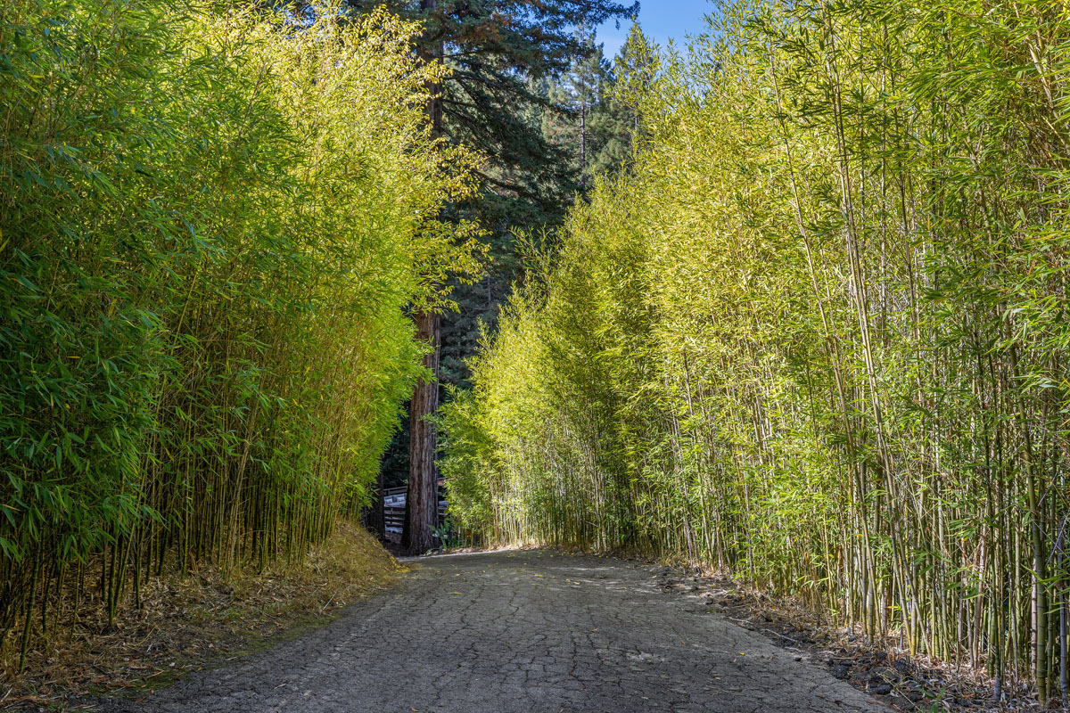 890 Patrol Road, Woodside